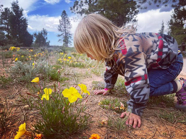 All About Troian Bellisario and Patrick J. Adams' 2 Kids, Aurora and Elliot