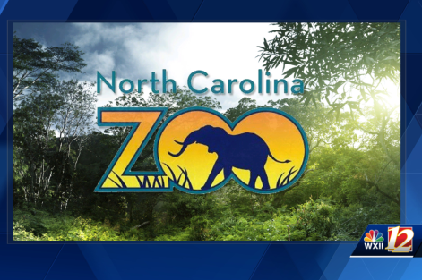Prices rising at North Carolina Zoo for the first time in a decade