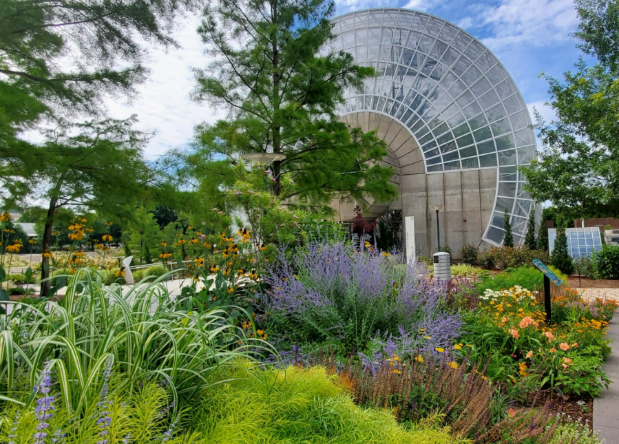 Tulip festival returns to Myriad Gardens March 29-30