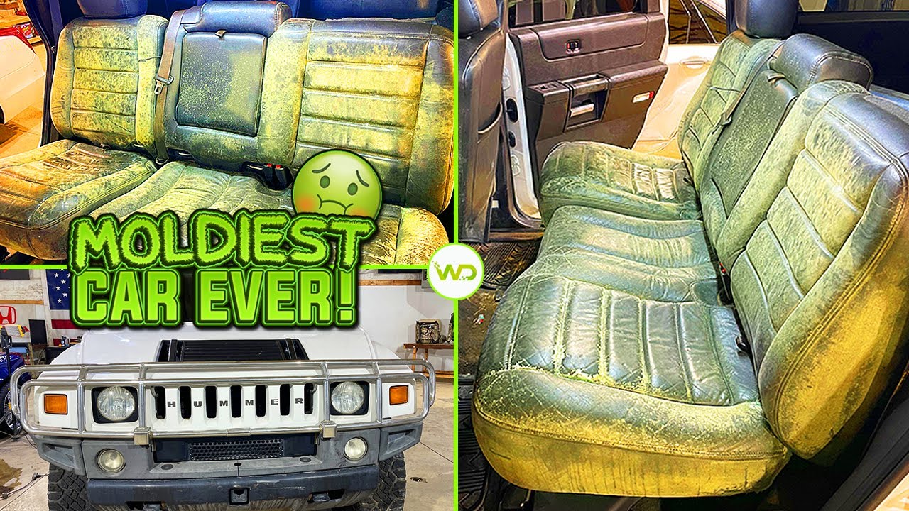 Deep cleaning the moldiest Hummer ever with disaster detailing