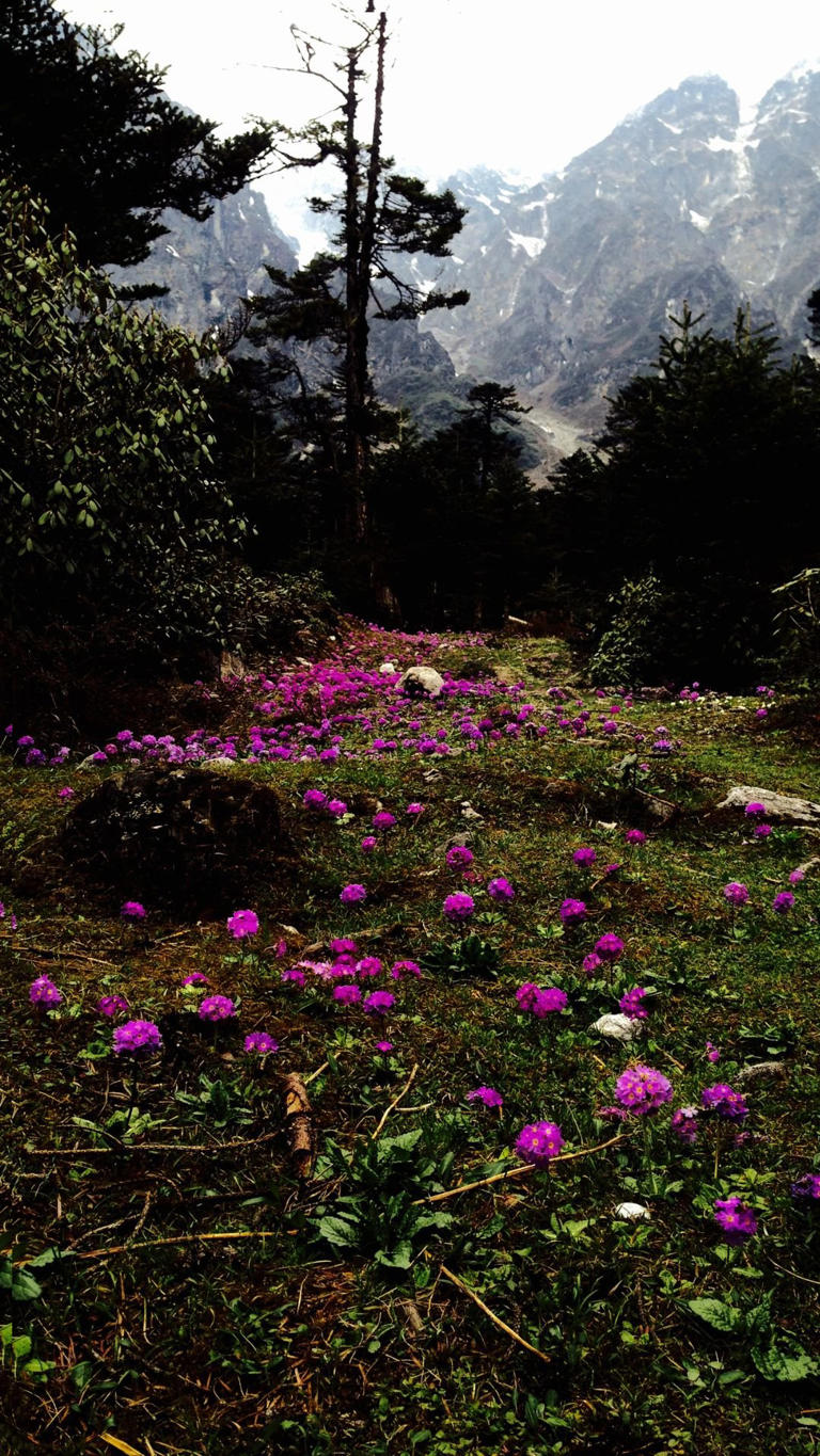 Spring Travel: 7 Must-Visit Places To Explore In India