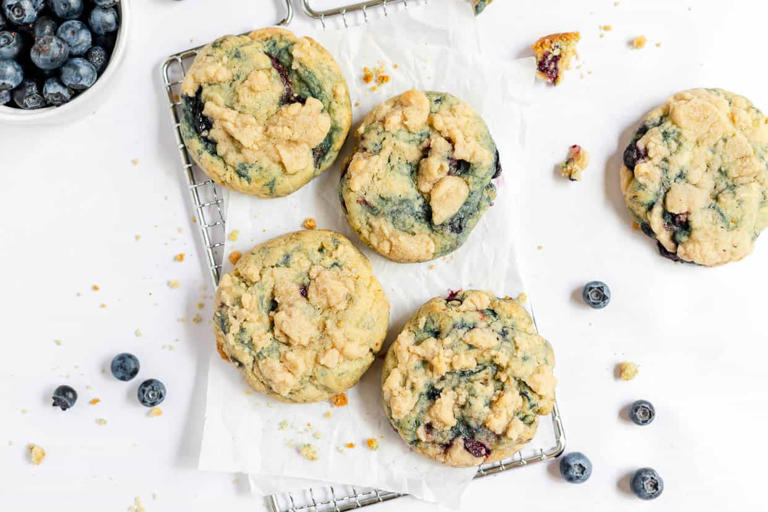 Best Blueberry Bakes