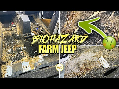 Biohazard Jeep Gets Extreme Deep Clean Transformation