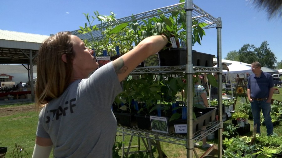 Herb fair comes to Terre Haute