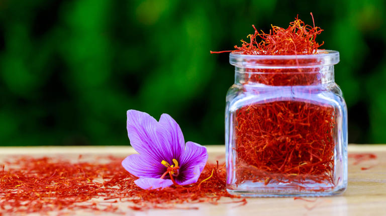 Helpful Tips To Start Growing Saffron Indoors