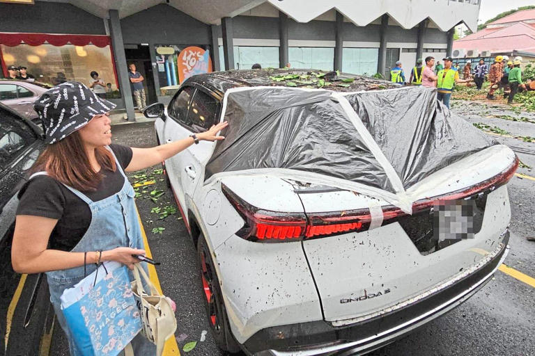 Woman’s car crushed by tree just weeks after purchase