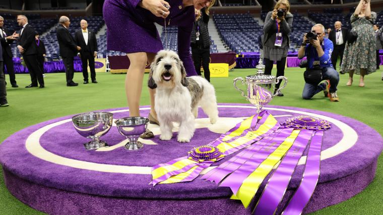 Westminster Dog Show prize money: How much do the winners make in 2025?
