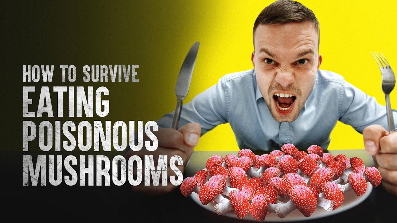 What happens after eating poisonous mushrooms and survival steps