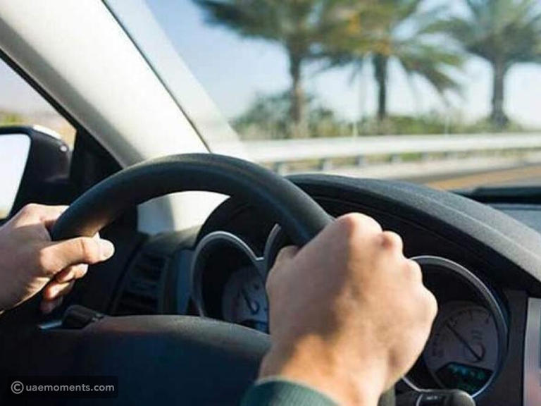 Full list of countries exempt from UAE driving license test