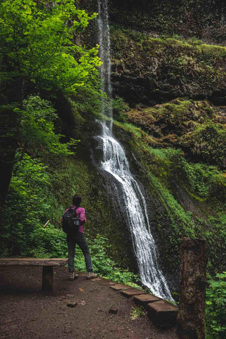 Your Guide to Silver Falls State Park in Oregon
