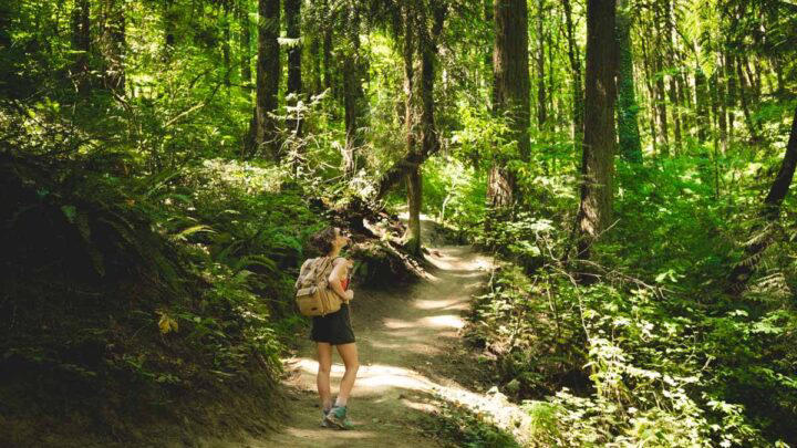 11 Worth It Hikes in Eugene, Oregon