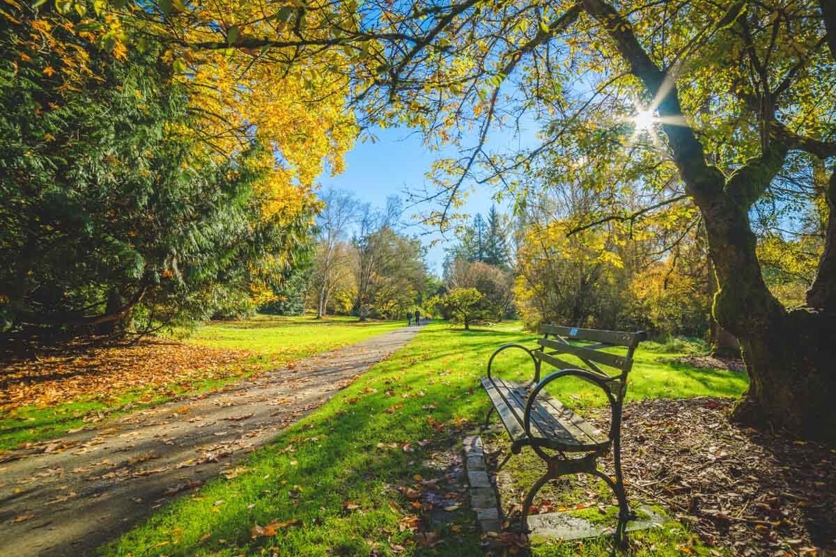 8 Scenic Washington Outdoor Spots Near Seattle Locals Love