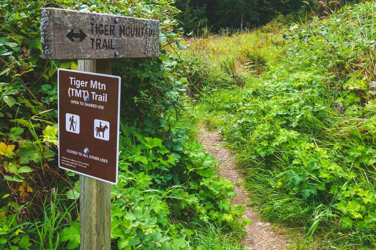 5 Overlooked Washington Parks With Perfect Hiking Trails You Need to ...