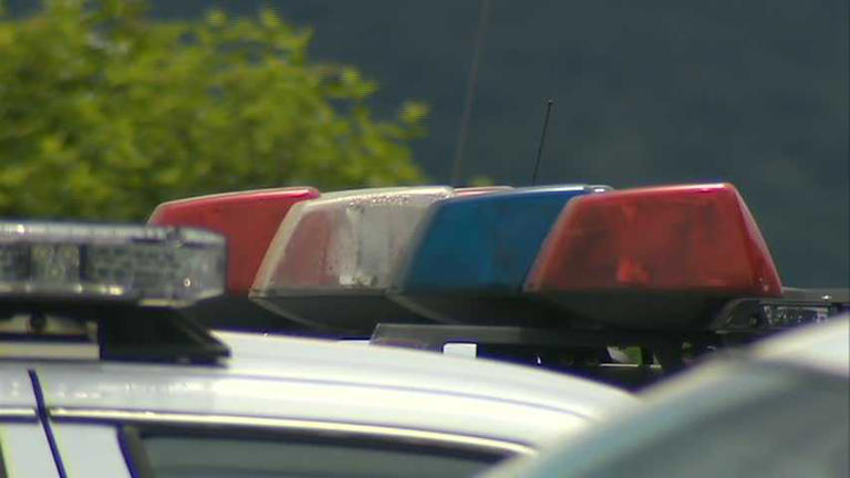 Suspect accused of harassing Sheetz customers, biting officer at ...