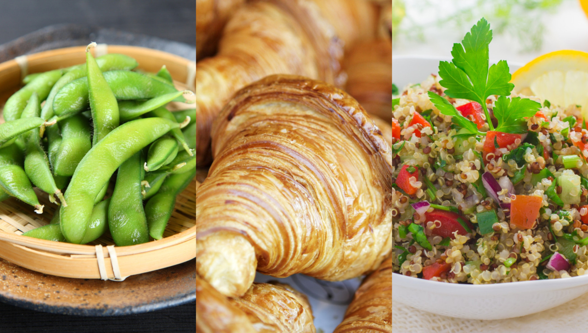 10 Rarest Butterflies In The World