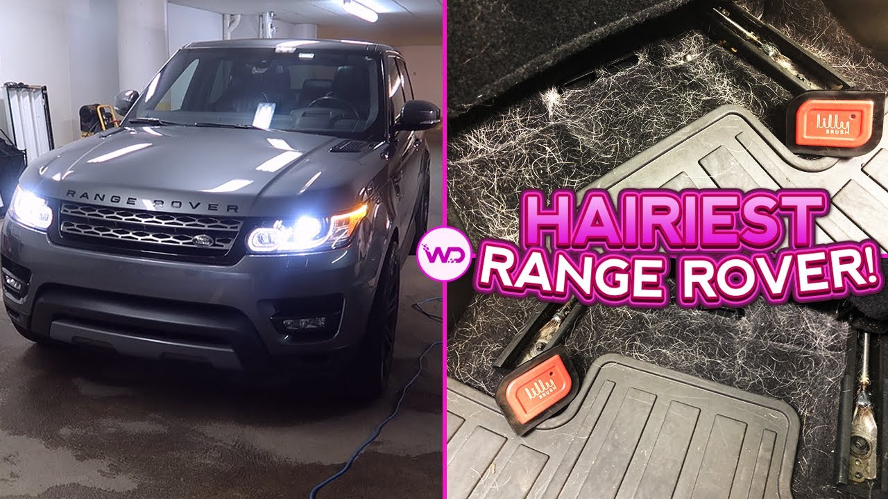 How We Deep Cleaned a Dog-Hairy Range Rover Inside and Out