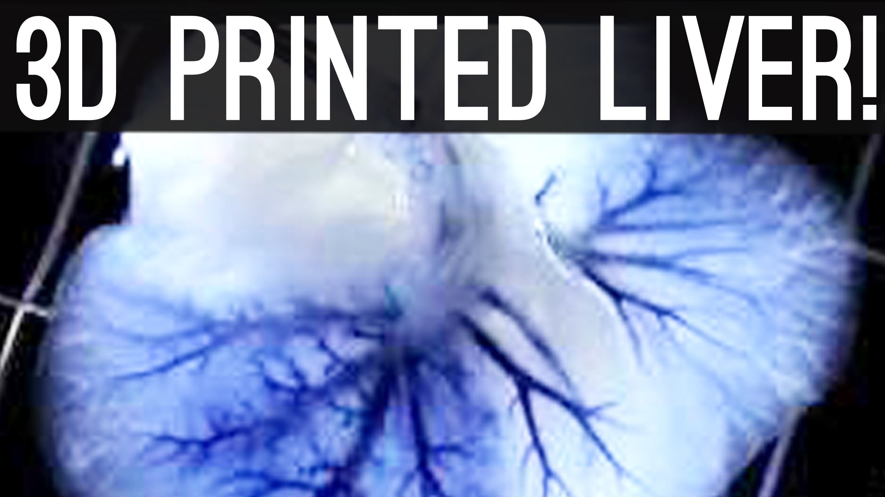 3D Printing and the Future of How the World Builds