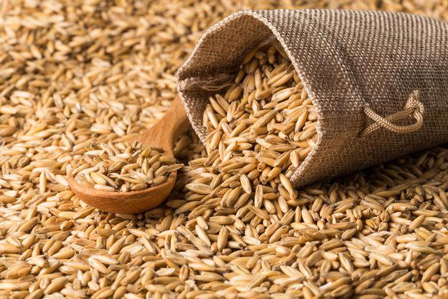 Healthiest Oats Ranked, According to a Dietitian