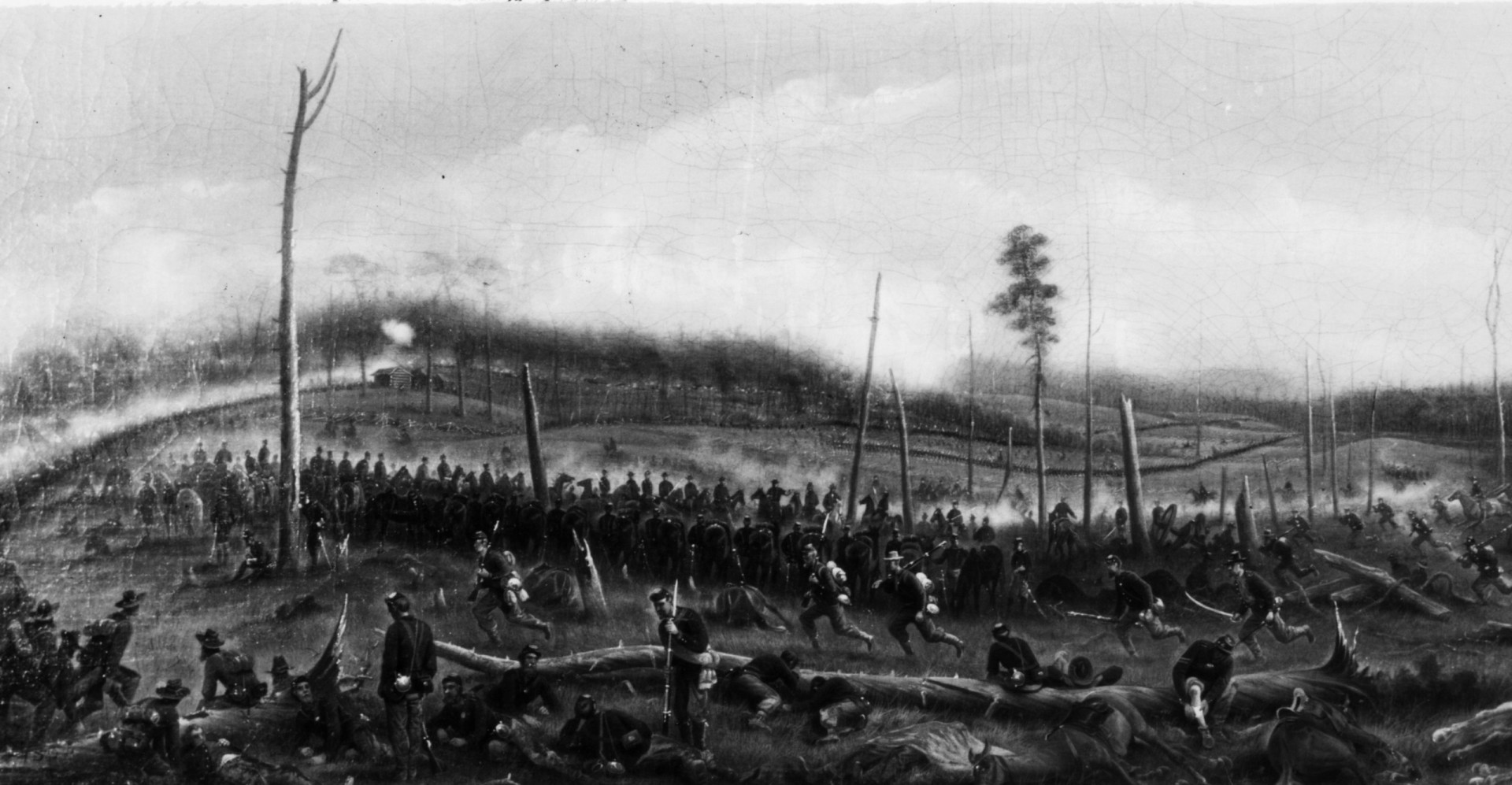 Who were the babies born in the White House?