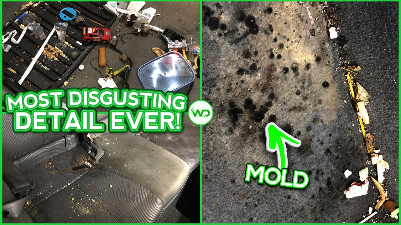 Extreme deep cleaning a mom’s moldy SUV for total restoration