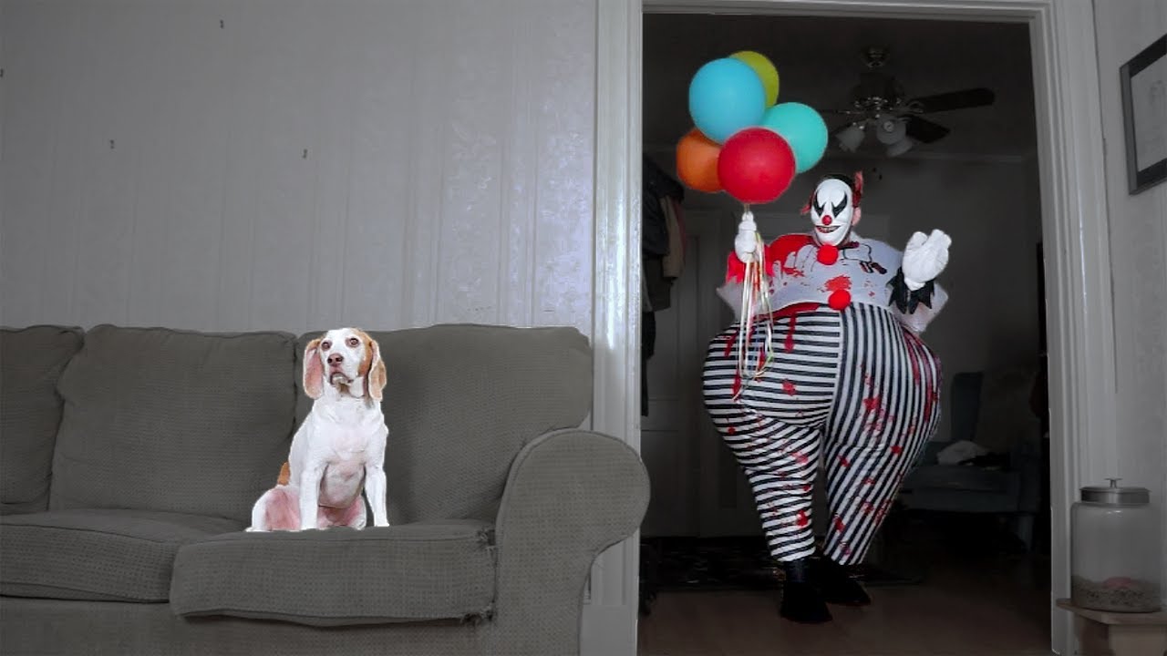 A dog bravely takes down a scary clown