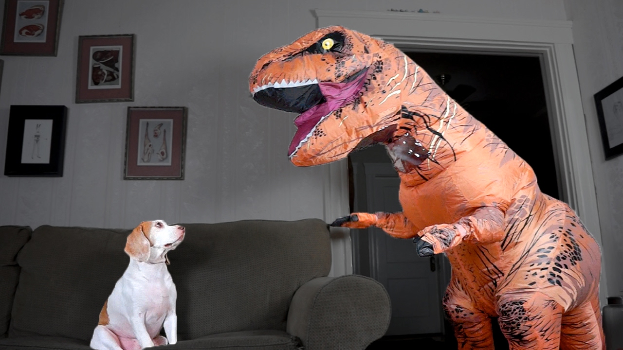 A T-Rex and a dog share an unexpected friendship