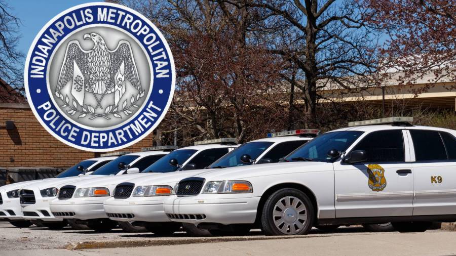 IMPD consultant to lead the way on drawing up long-term strategy