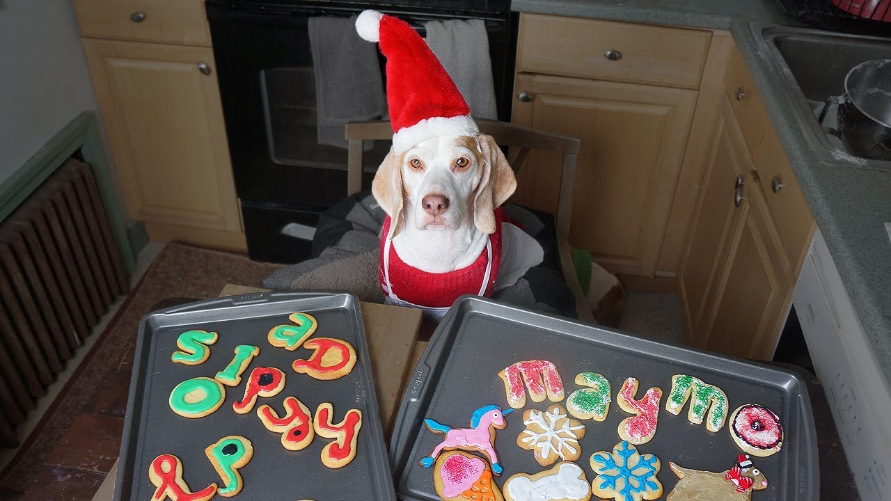 Dog bakes Christmas cookies from start to finish