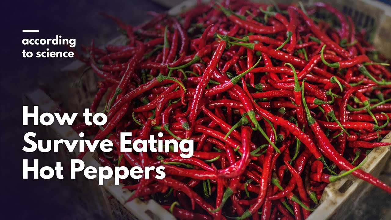 How to survive eating extremely hot peppers safely
