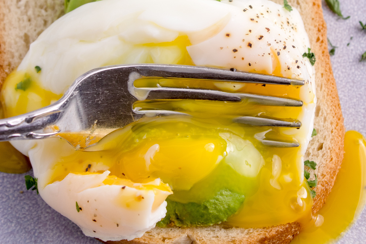 100+ Air Fryer Recipes for Any Meal or Occasion