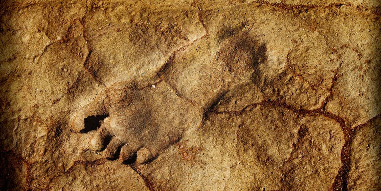 Archaeologists found 23,000-year-old footprints that rewrite the story ...