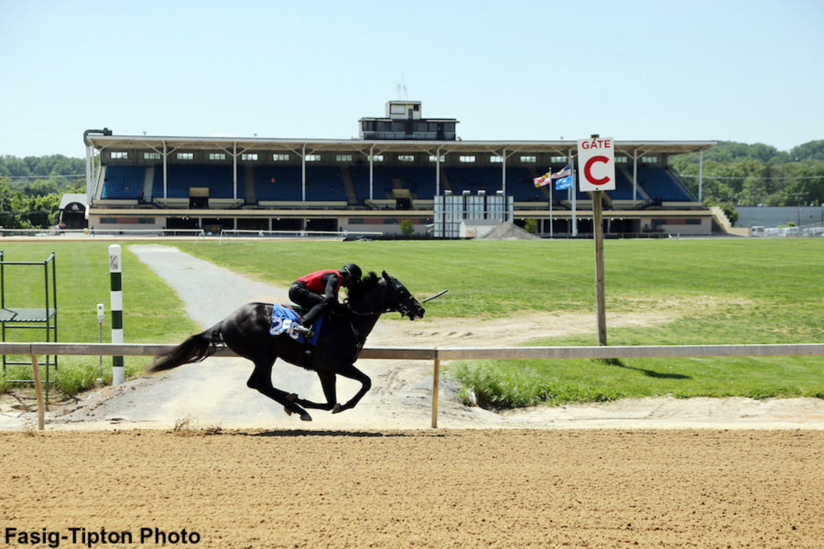 Fasig-Tipton To Eliminate Timed Breezes, Restrict Whip Use For ...