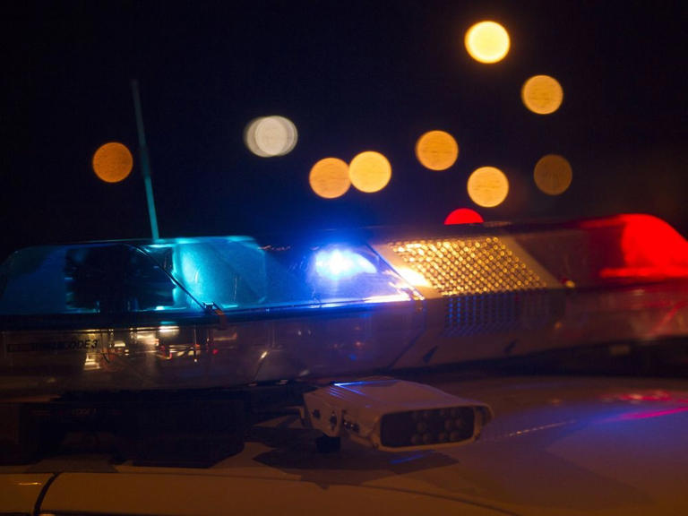 Man Arrested For Indecent Act On Winnipeg Transit Bus 2036