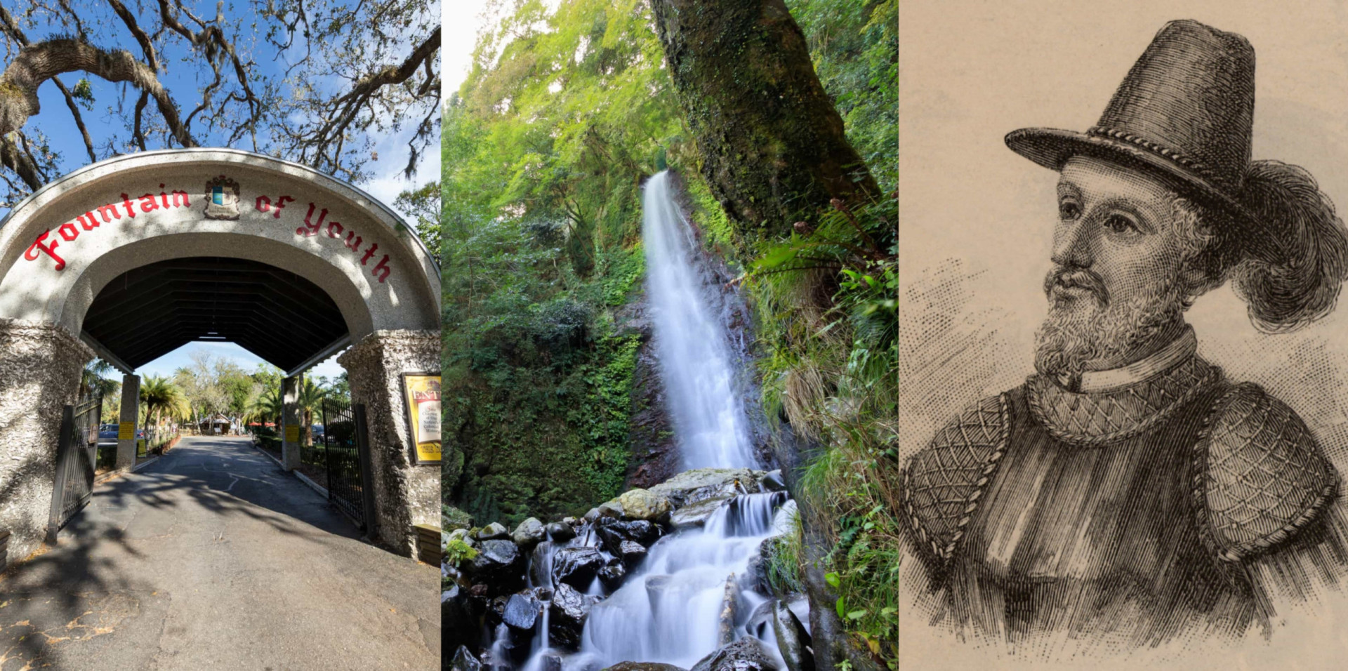 Eternal youth: The myth and mystery of the fountain of immortality