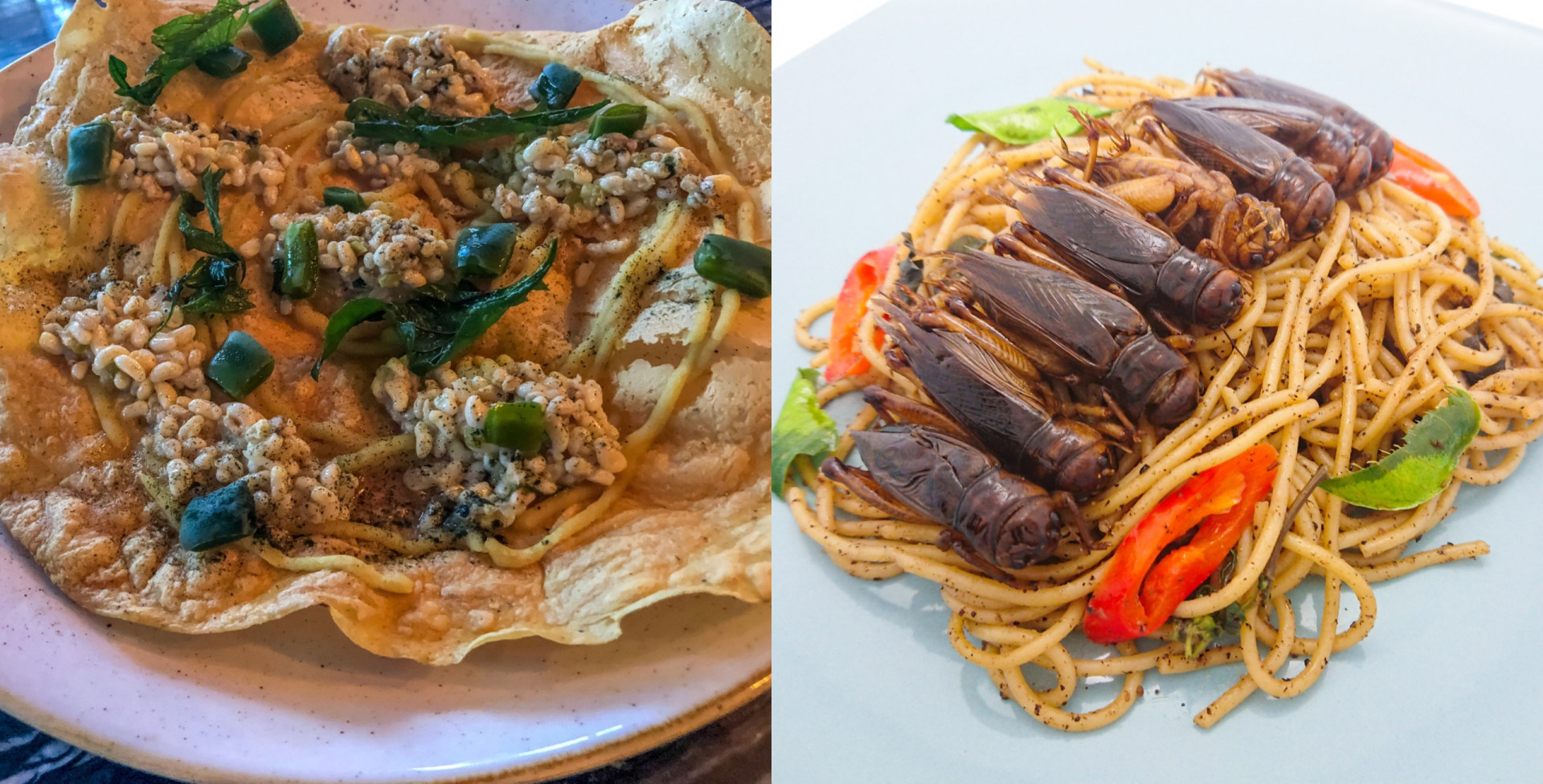 Here's why you should be eating more insects Here's why you should be eating more insects