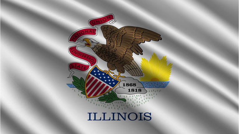 Current Illinois state flag wins overwhelmingly in redesign contest