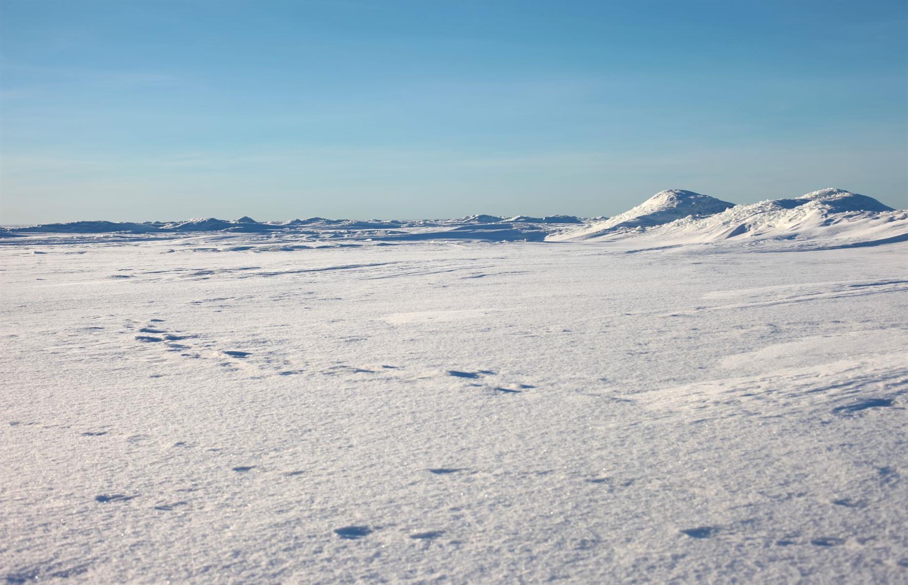 Todo Lo Que No Sabías Sobre La Antártida El Continente Más Misterioso Del Mundo