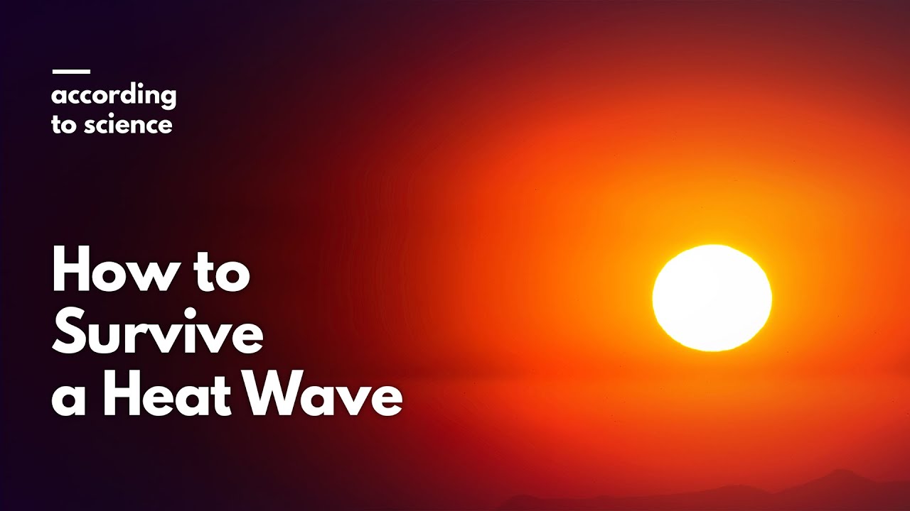 How to survive a deadly heat wave using science