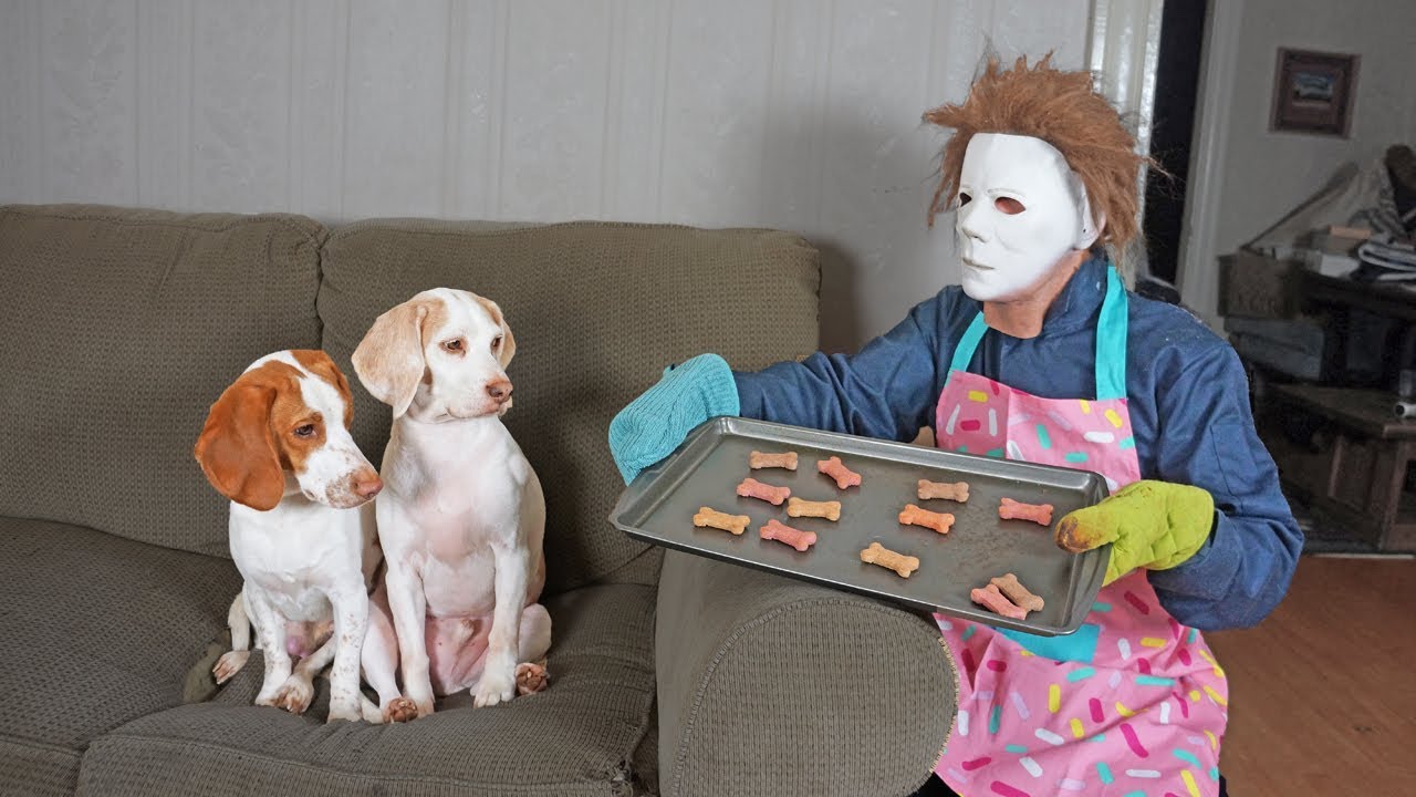 Dogs befriend a costumed Michael Myers