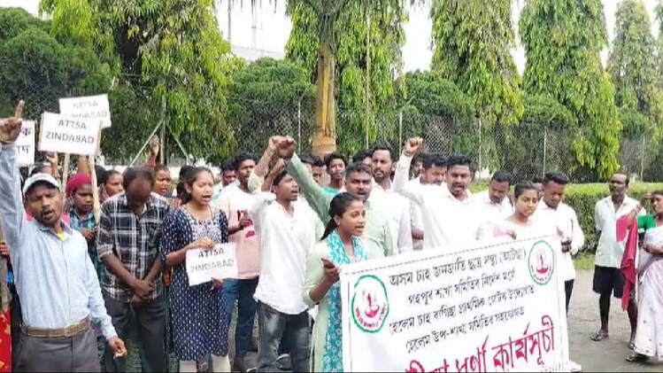 Assam: Tea Workers Union stage massive protest at Halem tea estate ... Assam: Tea Workers Union stage massive protest at Halem tea estate ...