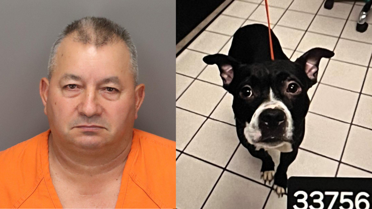 Judge grants bond for man convicted in animal cruelty case that ...