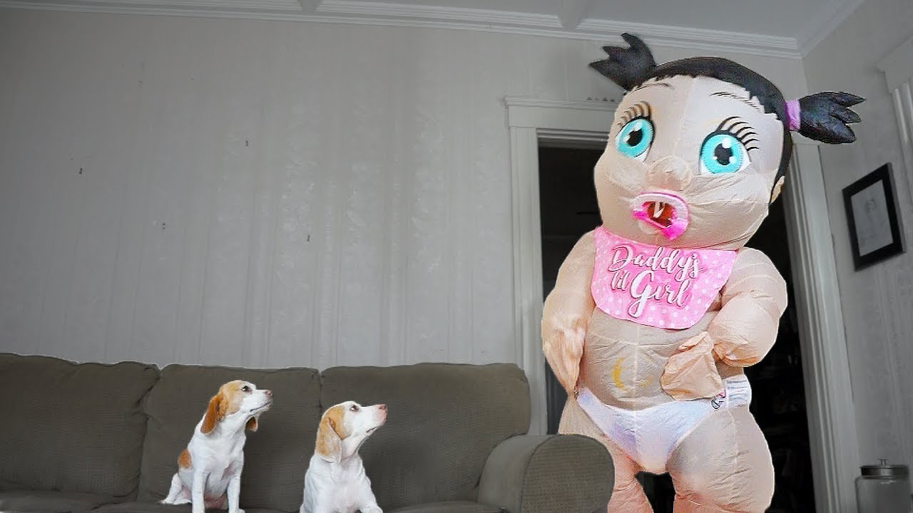 Dogs confront a giant baby in playful chaos