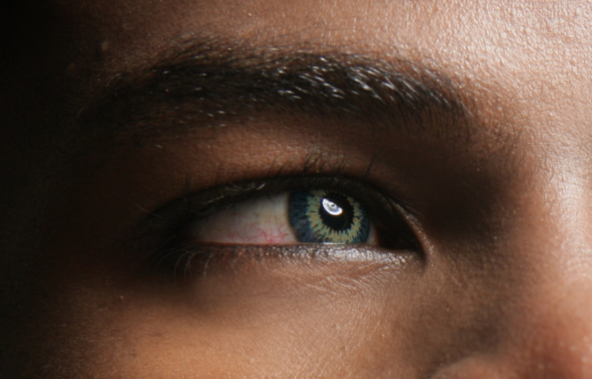 Pourquoi avons-nous les yeux bleus ou verts