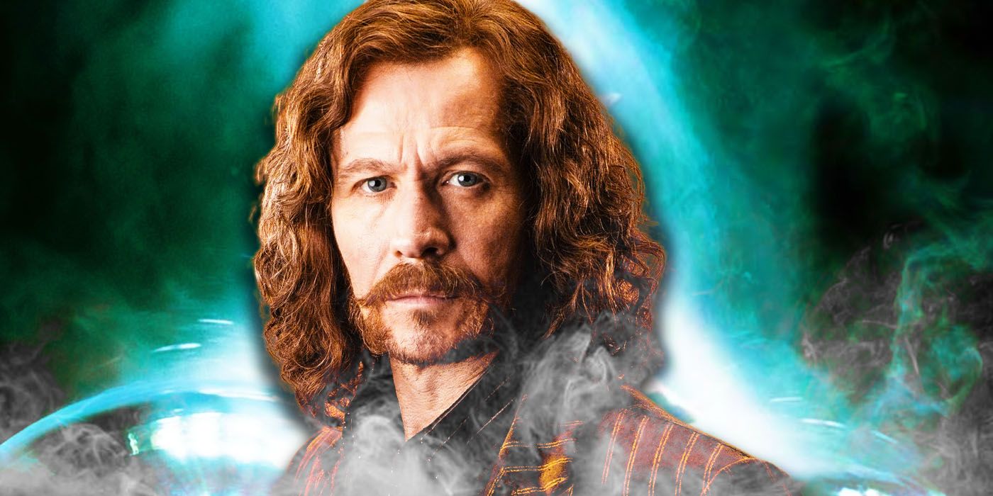 10 Order of the Phoenix Members Who Died During the Second Wizarding ...