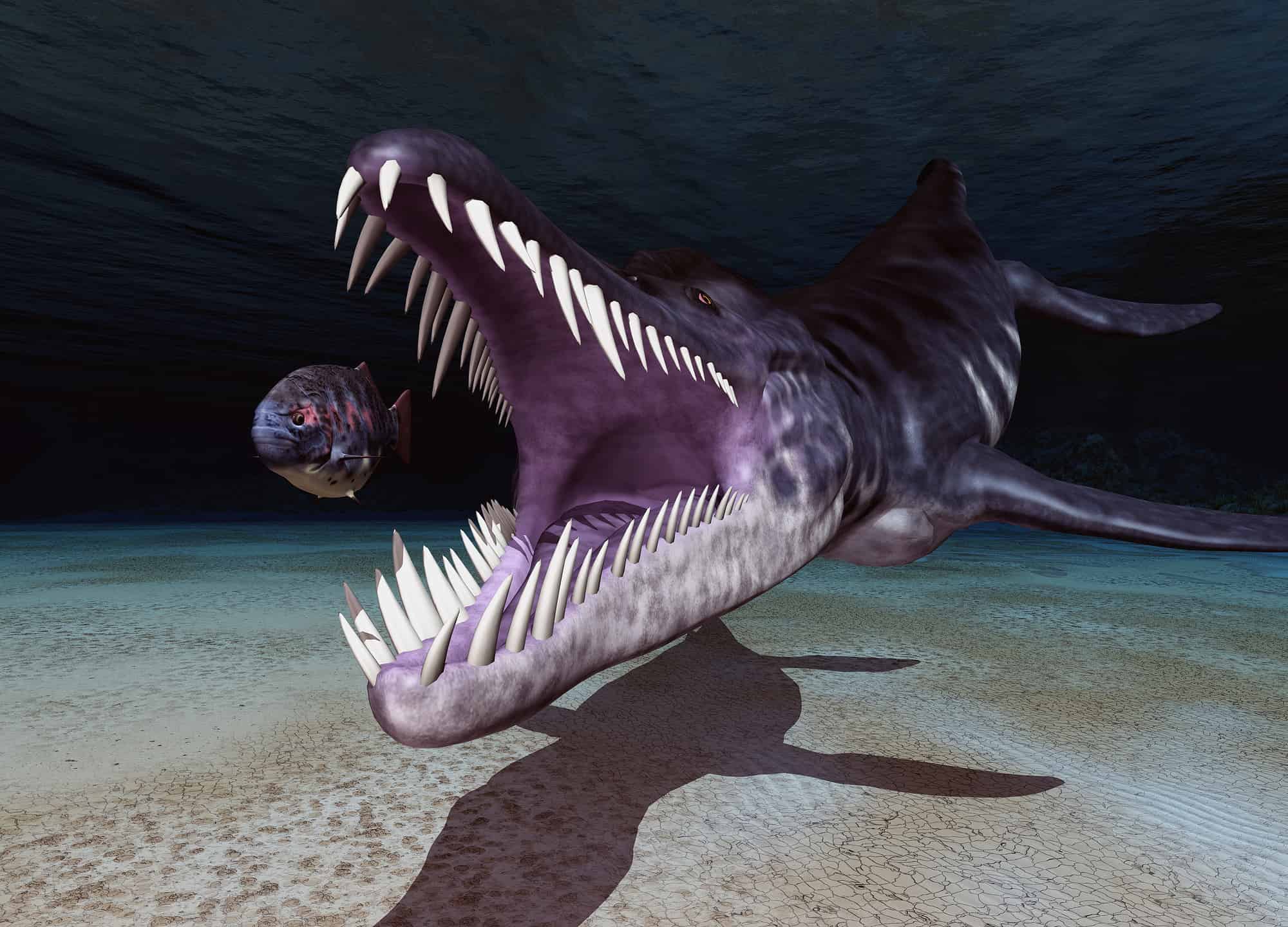 The Massive Fish 22 Times Bigger Than a Great White Shark