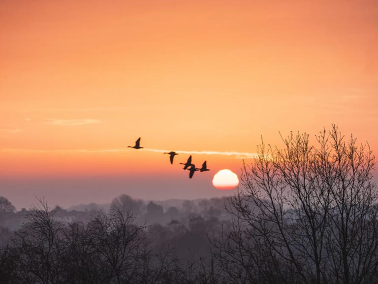 11 of the best places to watch the sunrise over Liverpool and ...