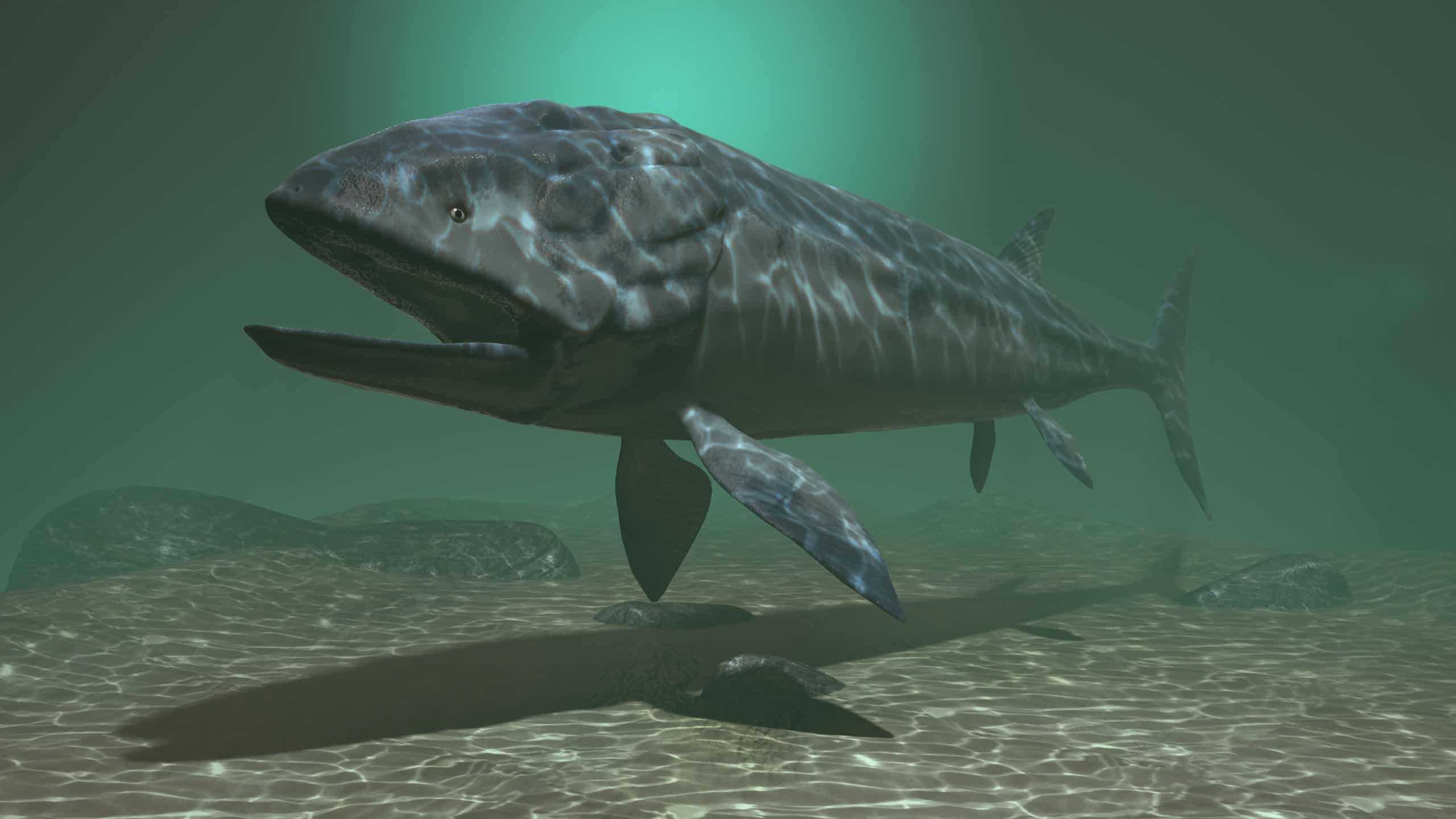 Meet the Massive Fish Bigger Than a Whale Shark