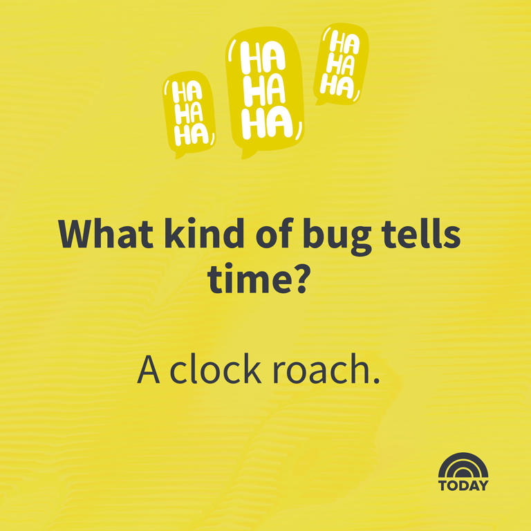 125 short jokes that'll give Dad a run for his money