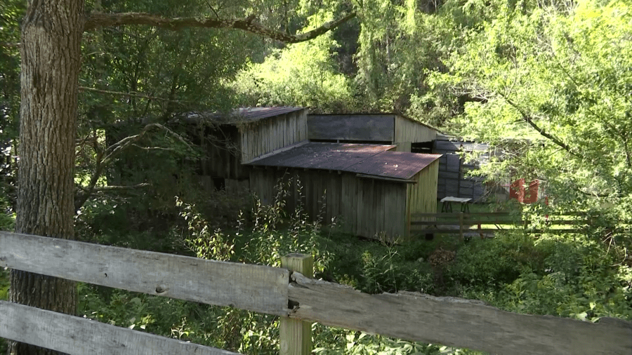 ‘Antithesis of a parent helping a child’: State’s psychologist blames ...