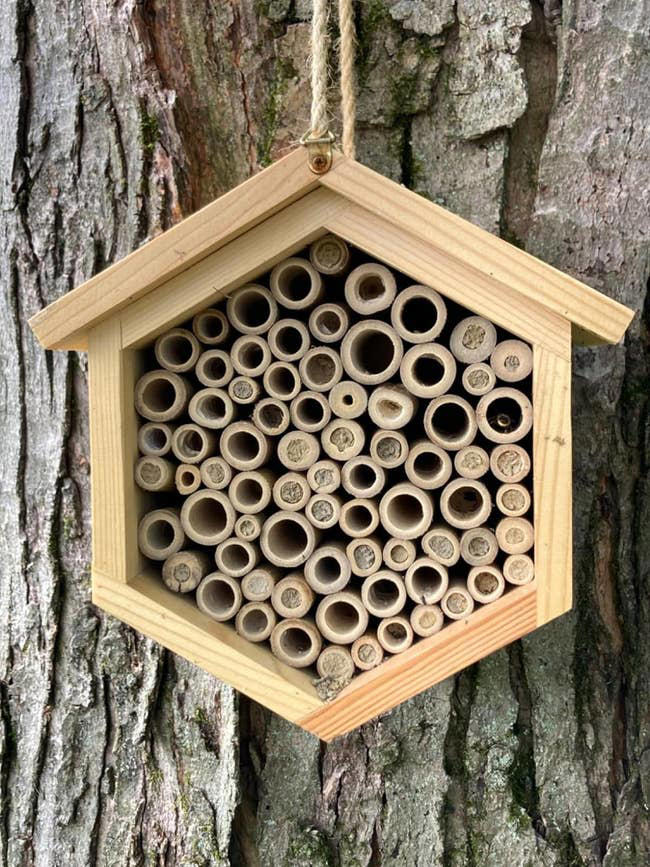 Make your backyard a place you actually enjoy hanging out with these 28 ...
